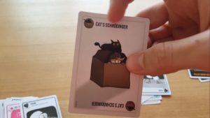 Exploding Kittens: NSFW Edition Review with Rules and Tips for Playing